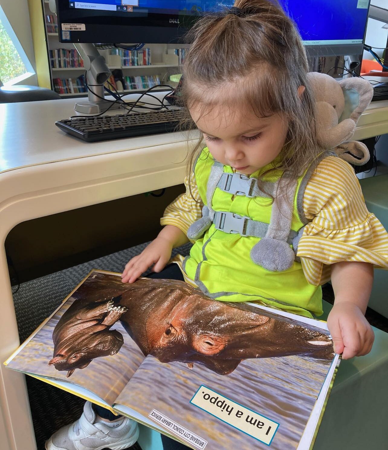 What reading looks like in early education | Little Scholars